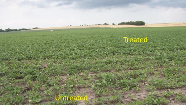 PRO CAL 40, Calcium Sulfate Benefiting Soil Structure