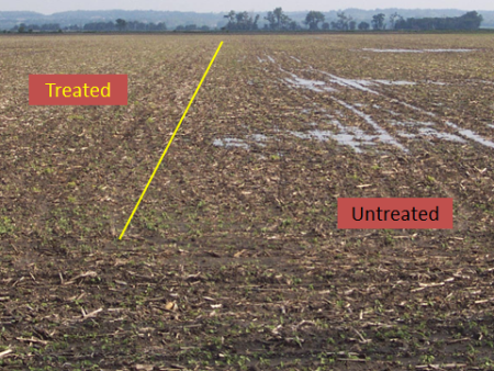 Why Gypsum Works in Your Soils: Part 4. Gypsum offsets high magnesium ...
